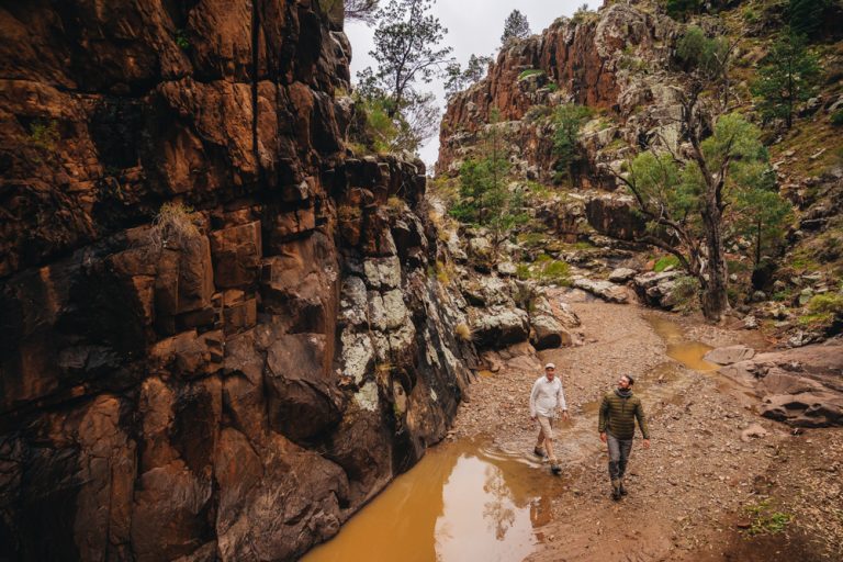 The Experience – Arkaba