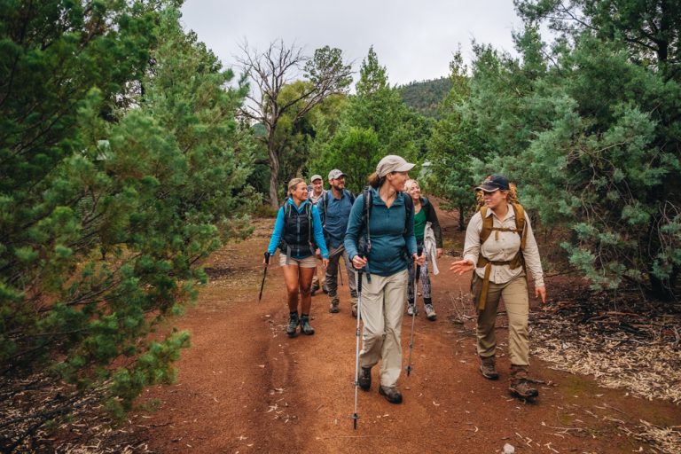 The Experience – Arkaba