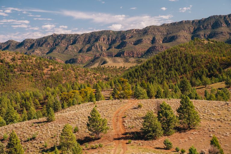 The Experience – Arkaba