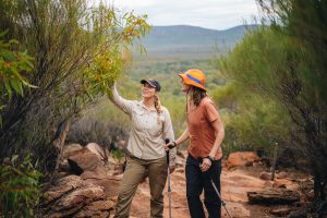 The Arkaba Walk – Arkaba