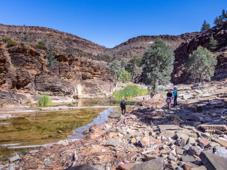 Conservation Projects – Arkaba