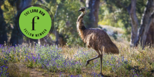 Conservation Projects – Arkaba