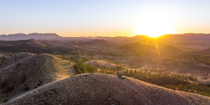 Conservation Projects – Arkaba